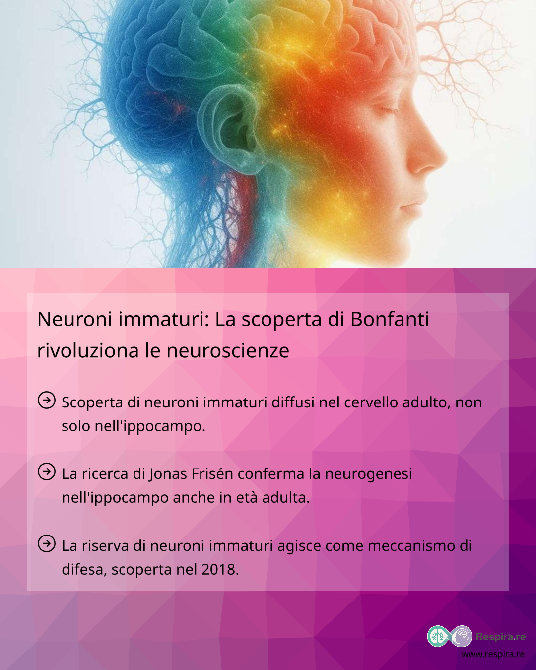 Neuroni immaturi: La scoperta di Bonfanti rivoluziona le neuroscienze ...